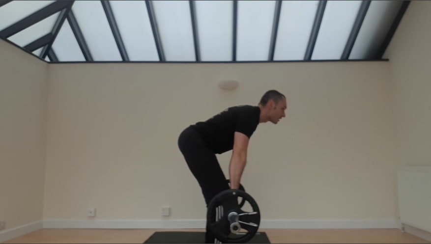 Bent Rows – The Back Builder – Tom's Health & Fitness